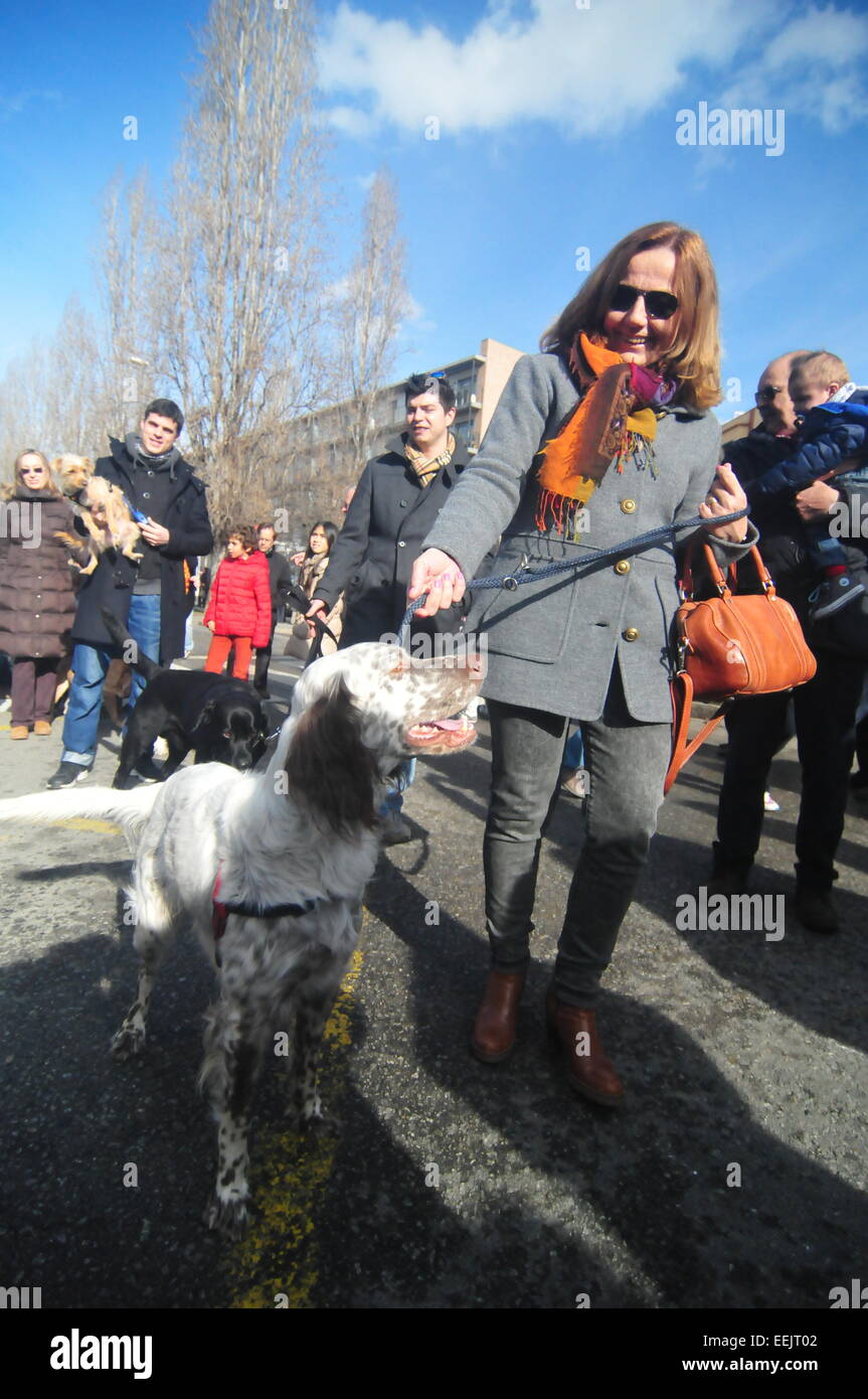 Proud lady with her dog Stock Photo - Alamy
