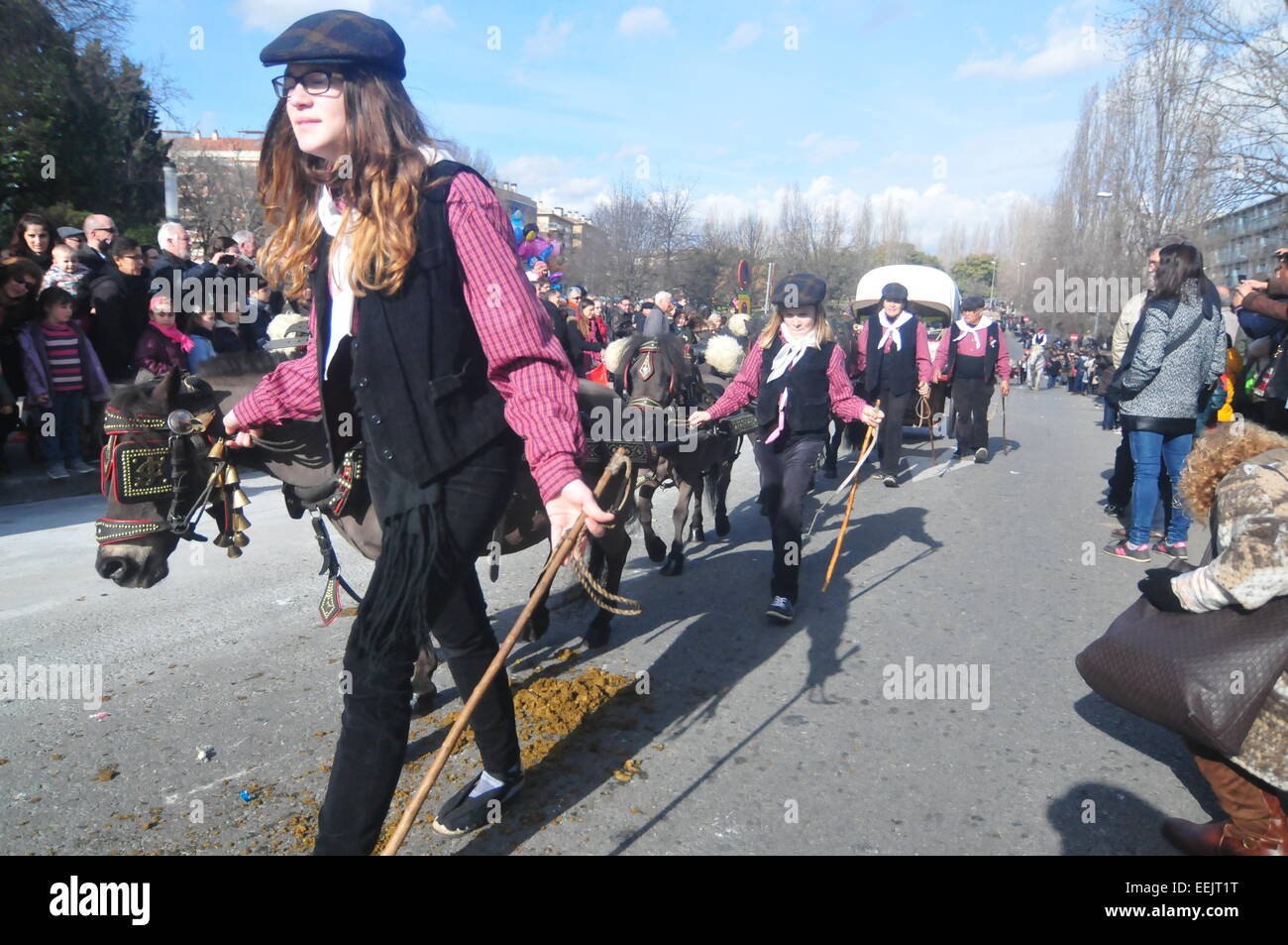 Girl leading horses hi-res stock photography and images - Alamy