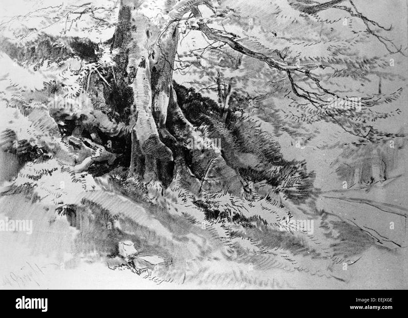 Henry Bright was a 19th-century British artist, renowned for his ...
