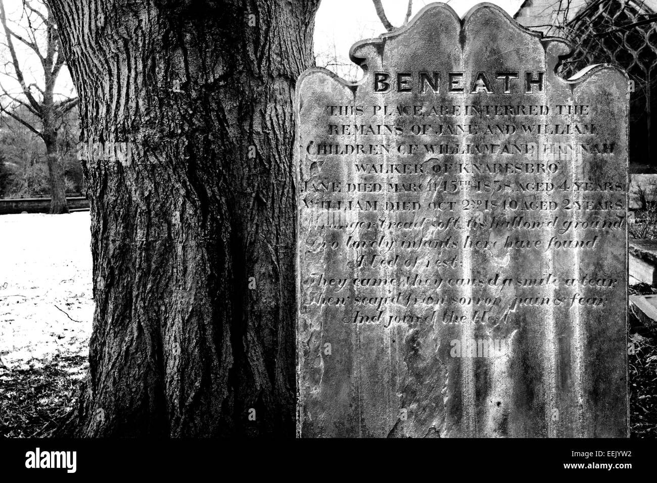 Tree trunk grave headstone hi-res stock photography and images - Alamy