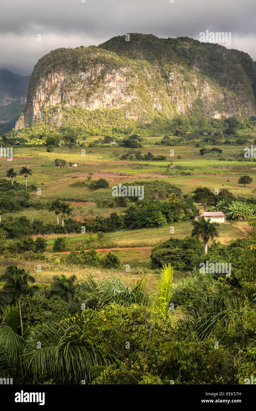 Typical view of the "mogotes", huge karst formations in the Vinales ...