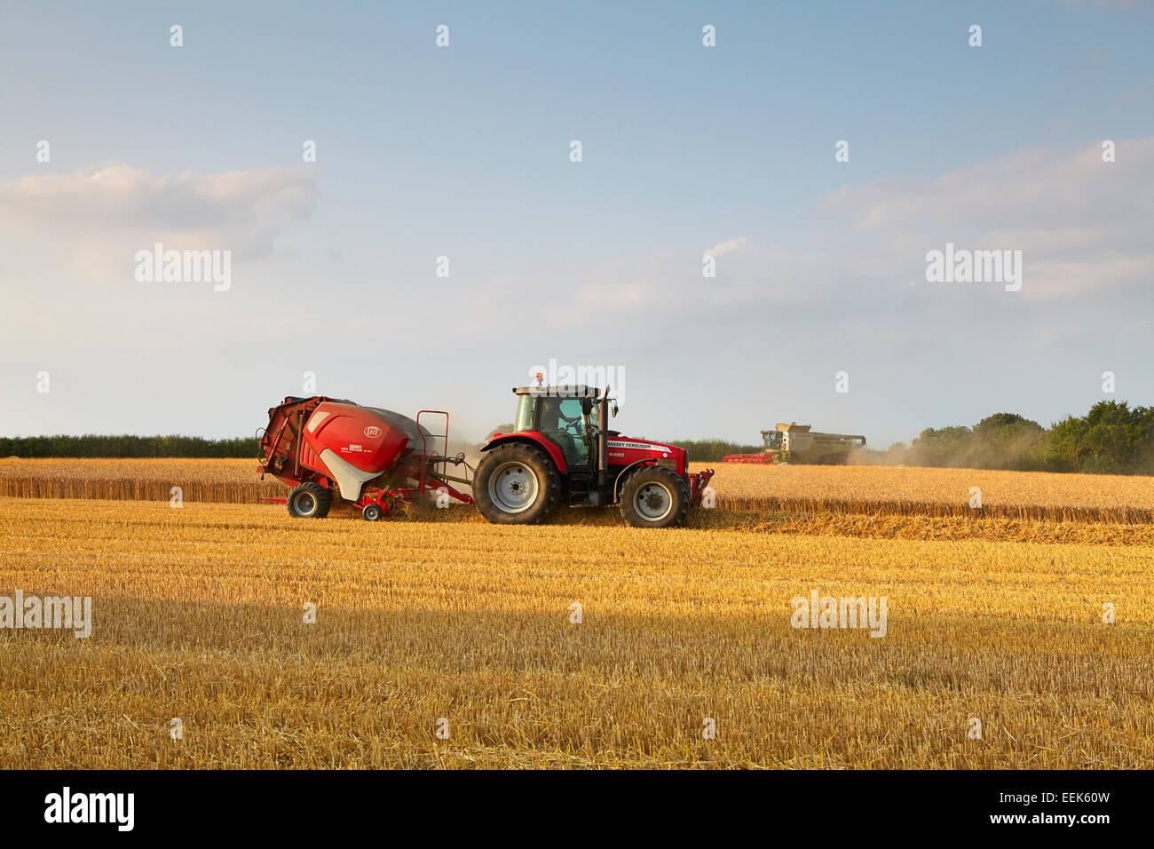Farmer baling wheat straw with a round baler in Norfolk, England, UK ...