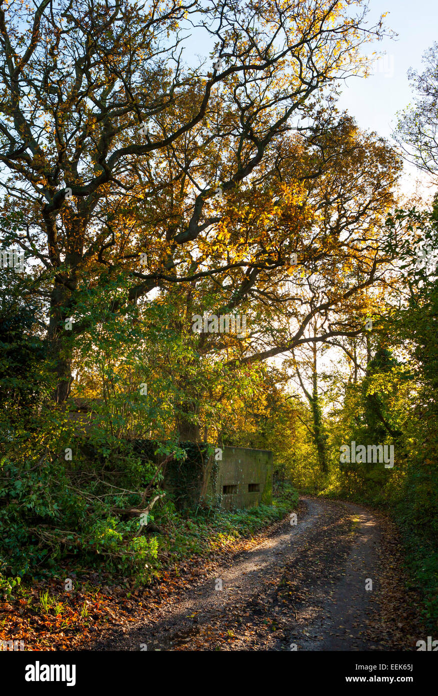Country lane with pillbox in Mendham, Suffolk, UK Stock Photo - Alamy