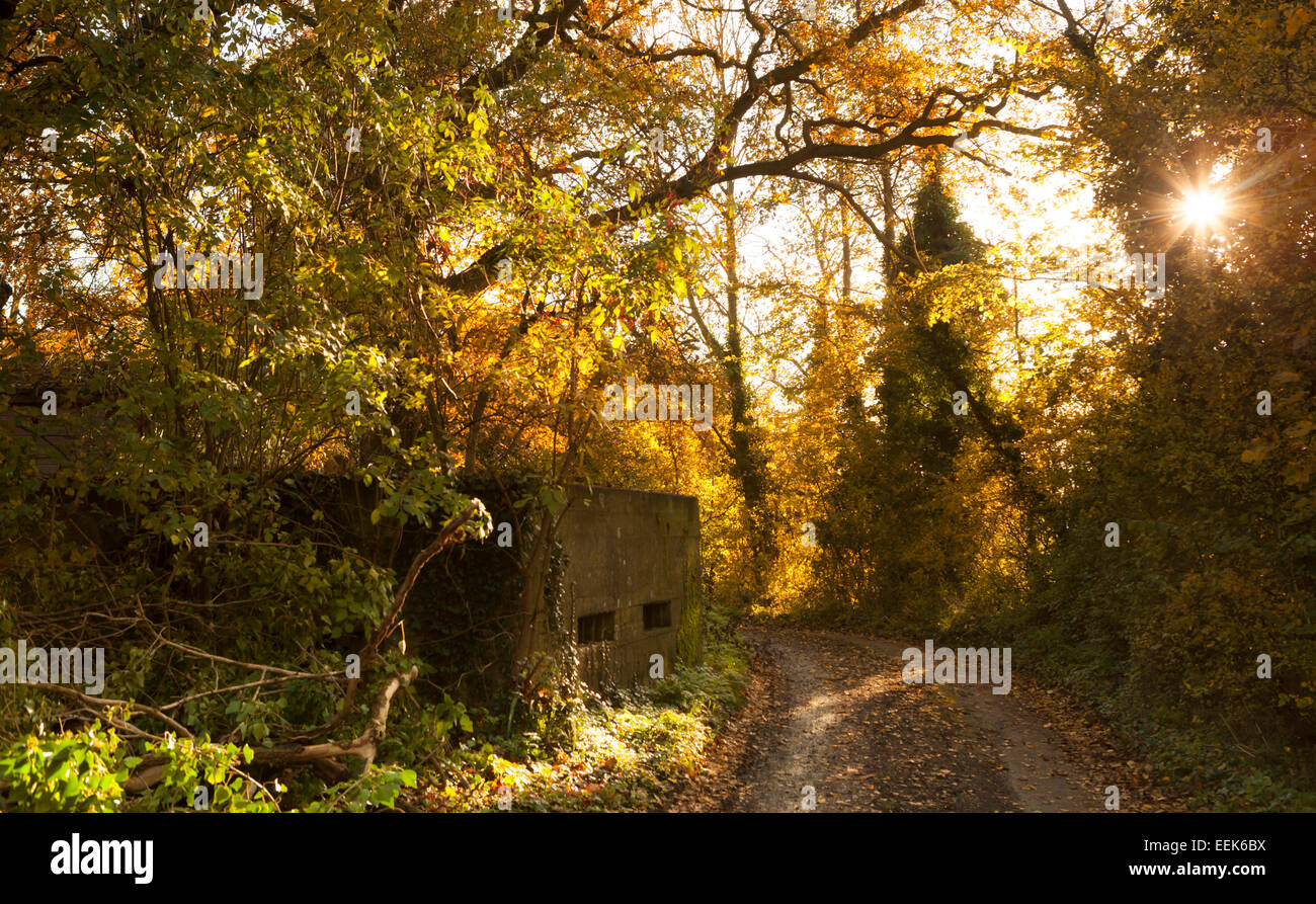Country lane with pillbox in Mendham, Suffolk, UK Stock Photo - Alamy