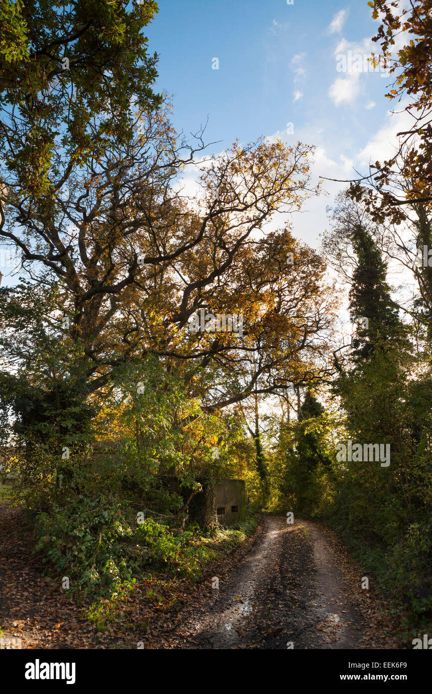Country lane with pillbox in Mendham, Suffolk, UK Stock Photo - Alamy