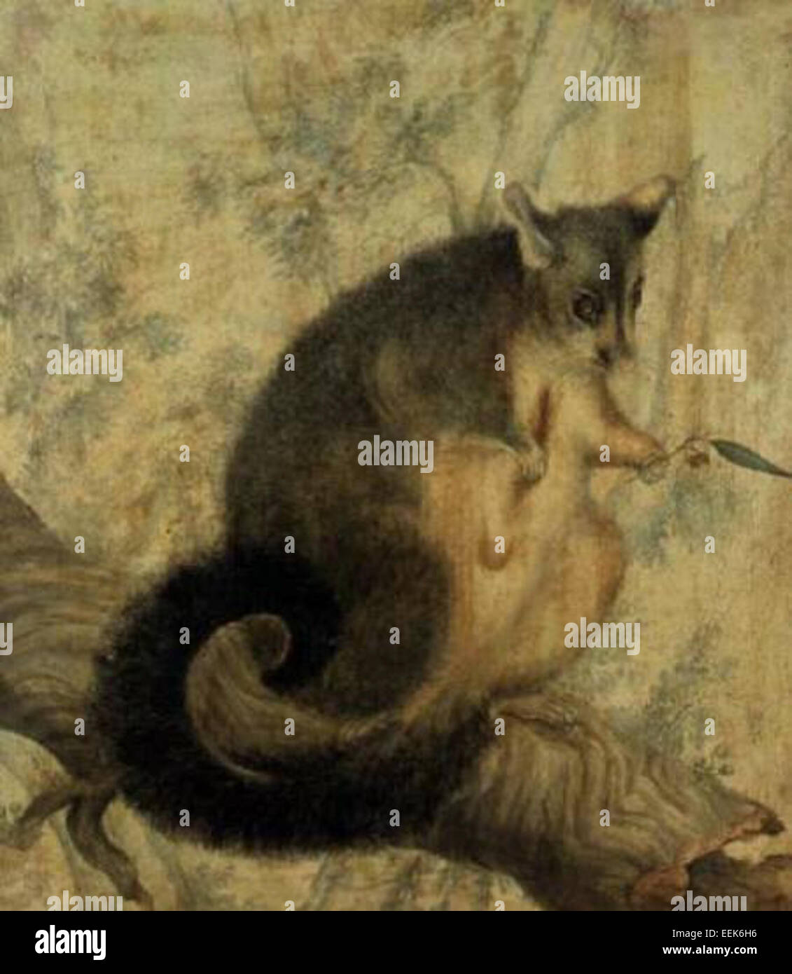 Louisa Atkinson (1834-1872) was an Australian writer, artist, and ...