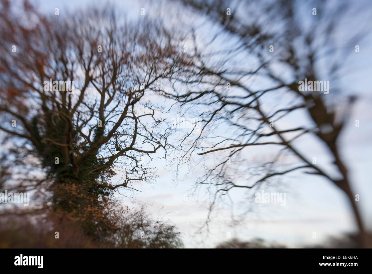 Zoom hi-res stock photography and images - Alamy