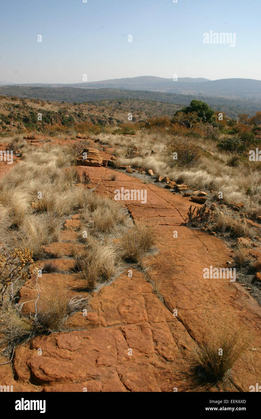 Magaliesberg is a mountain range in South Africa, known for its rich ...