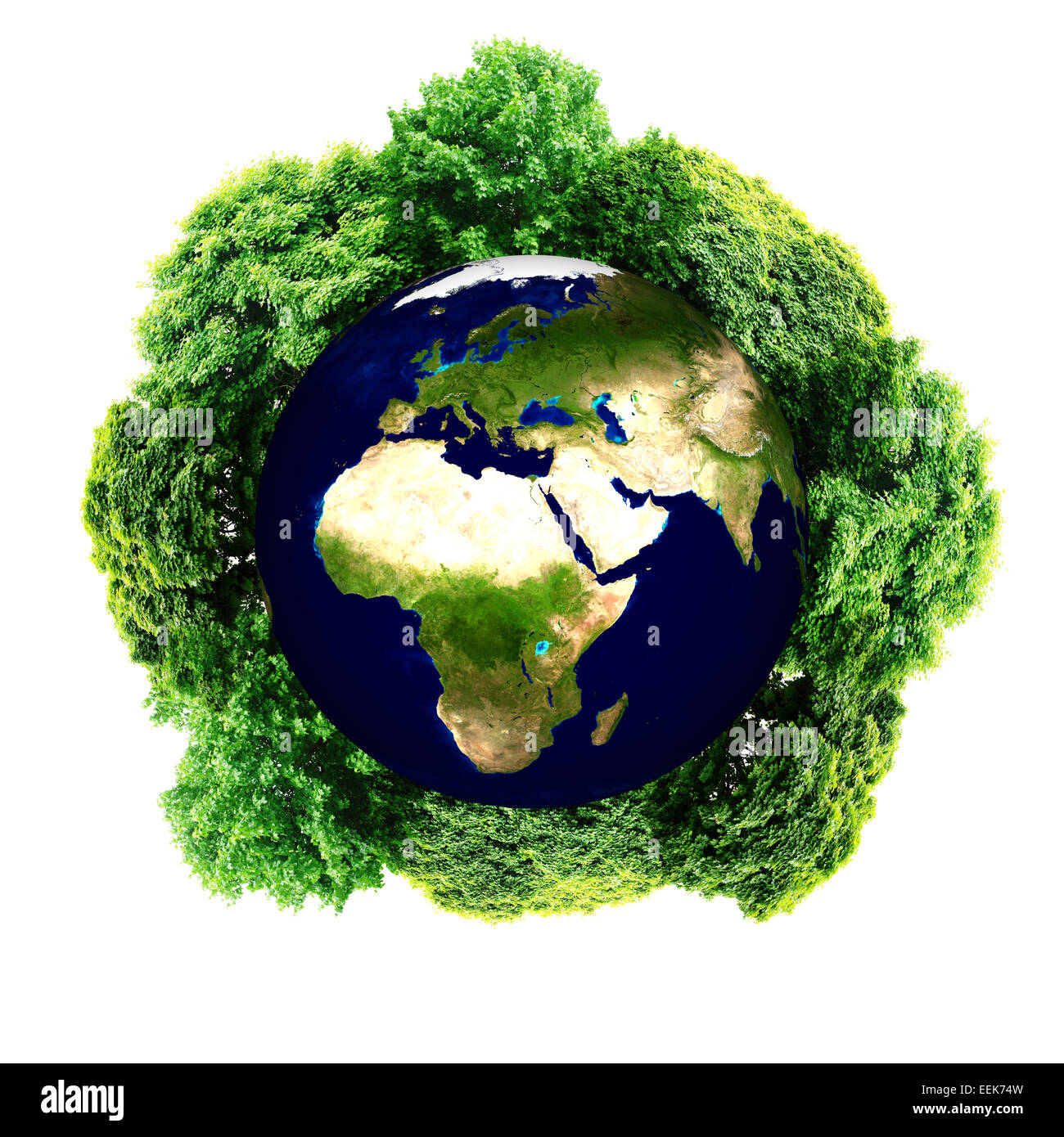 Most beautiful blue flower of the world Cut Out Stock Images & Pictures ...