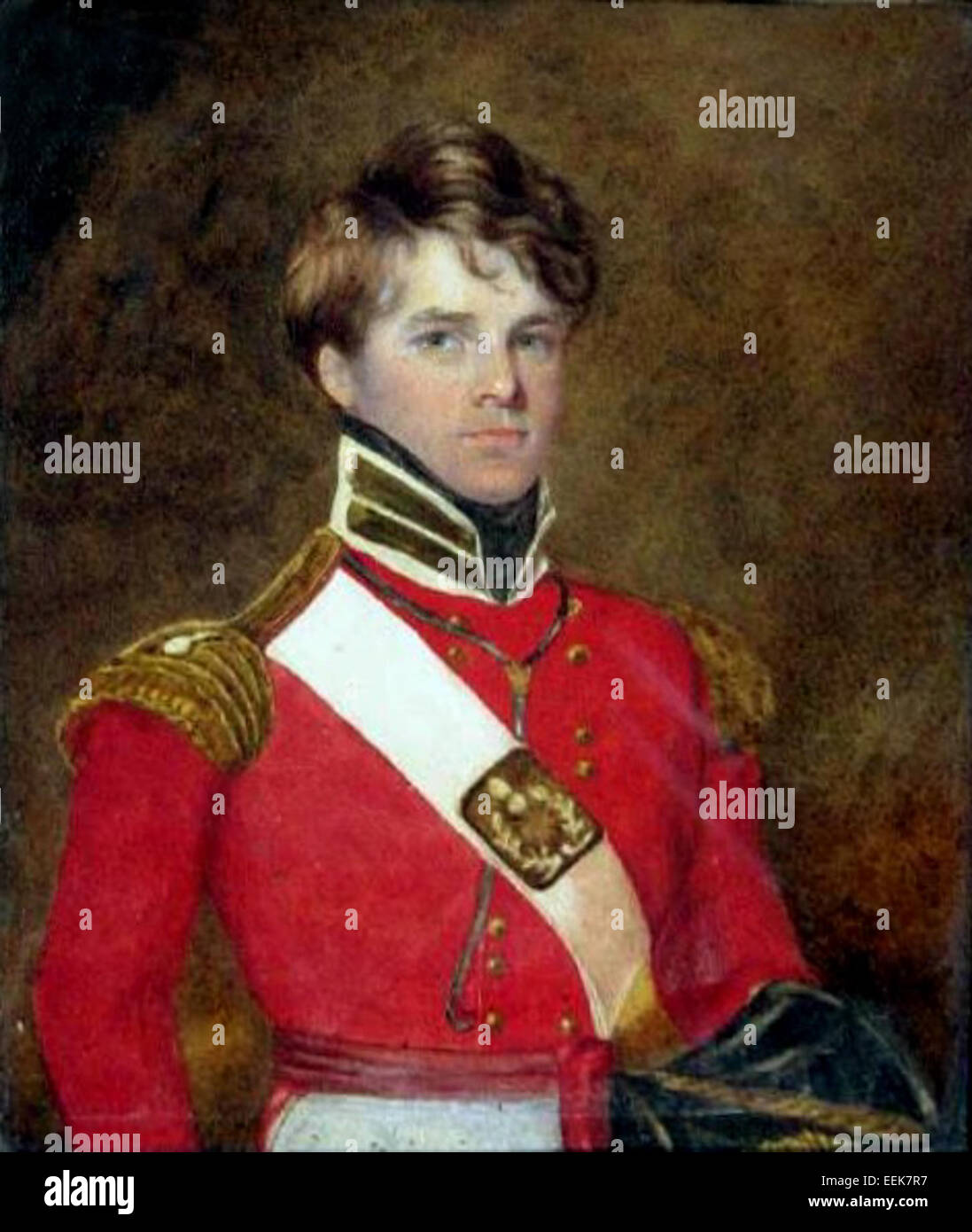 Vibrant botanical illustration depicting hi-res stock photography and ...