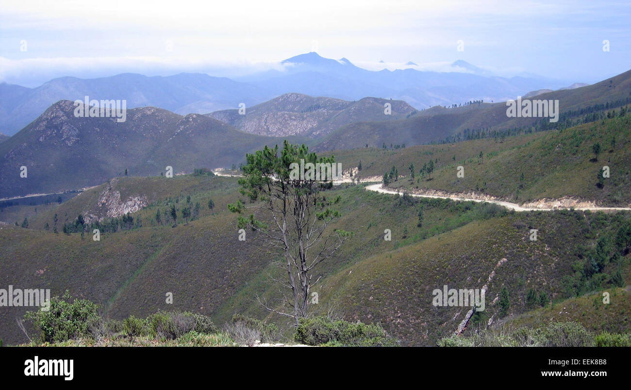 Prince Alfred's Pass is a scenic mountain pass located in the Western ...