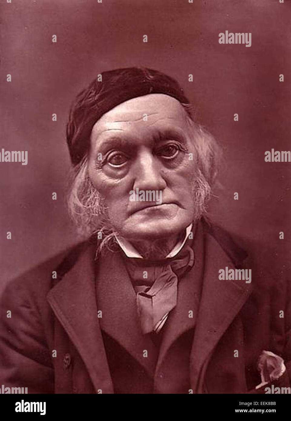 Professor richard owen hi-res stock photography and images - Alamy