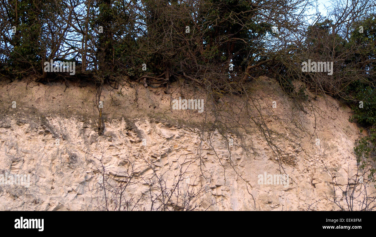 Northern face of East Pit, with Lime Kiln Close above, Cherry Hinton ...