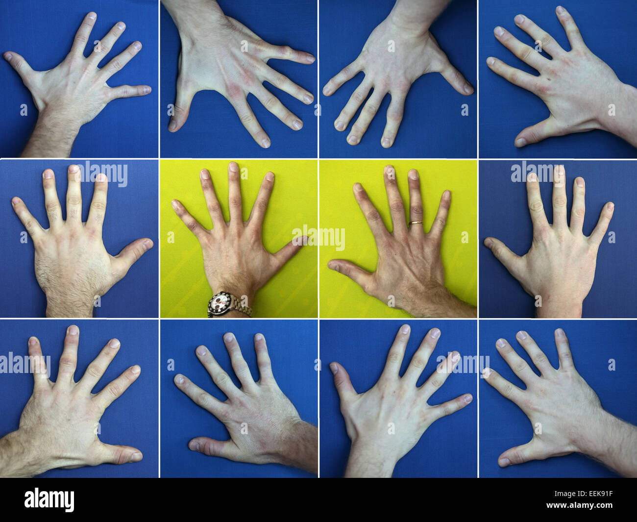 A combo picture shows the score hands of the German players and coach ...