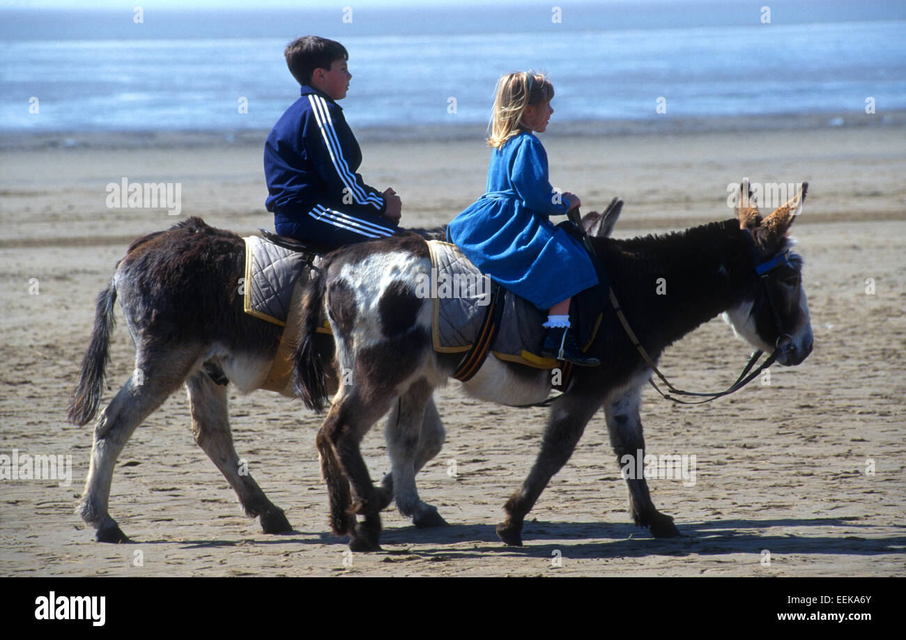 British seaside donkeys hi-res stock photography and images - Alamy