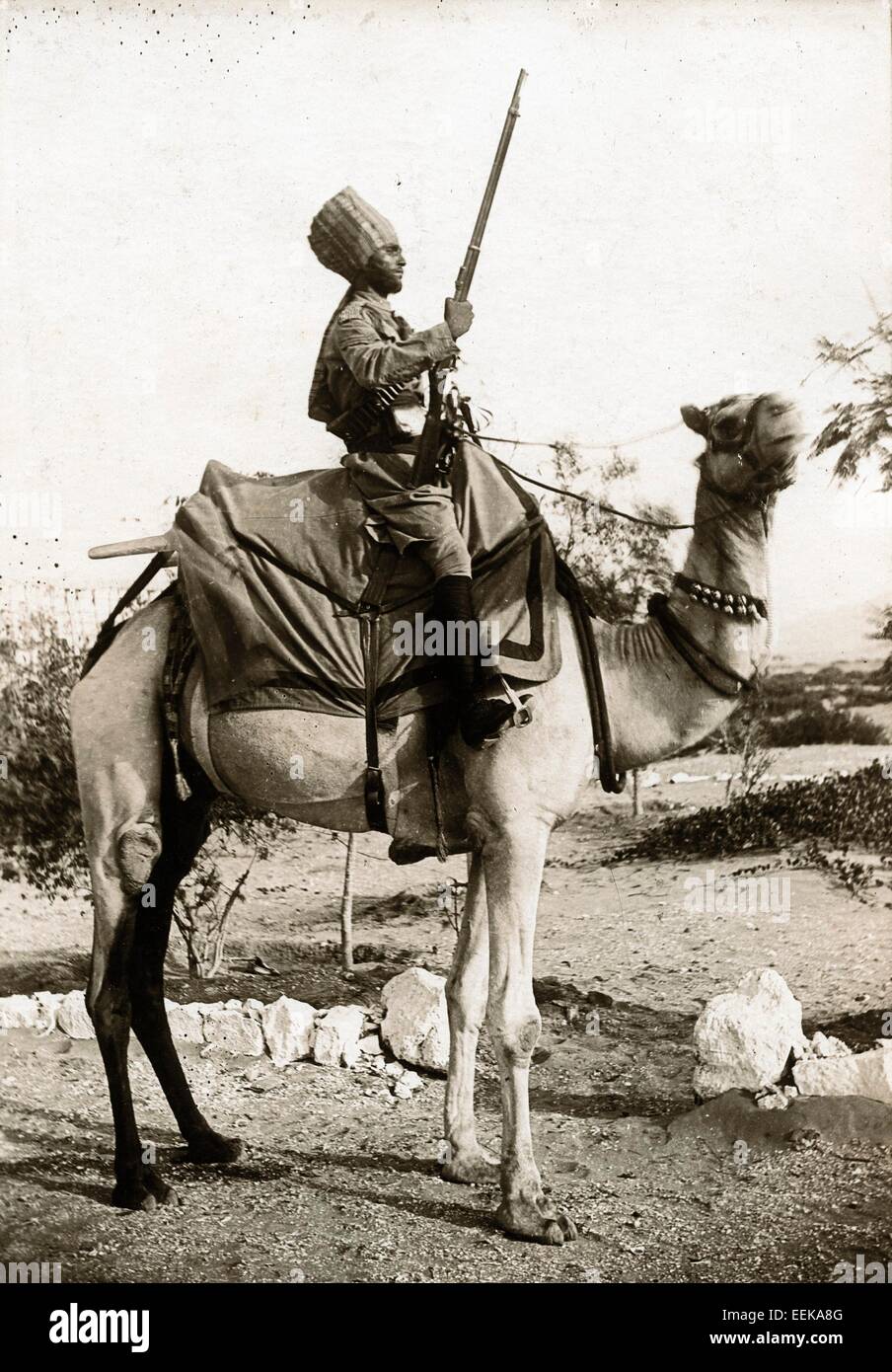 Soldier, Abyssinia, ca 1890, by Luigi Naretti Stock Photo - Alamy