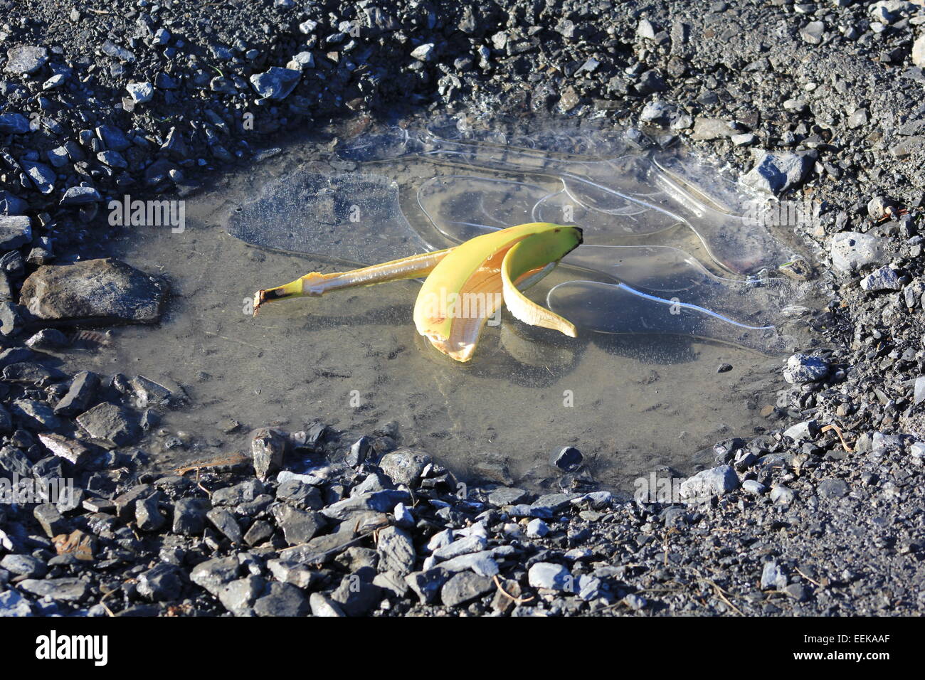 A banana skin on a frozen pothole awaits an unsuspecting victim Stock ...