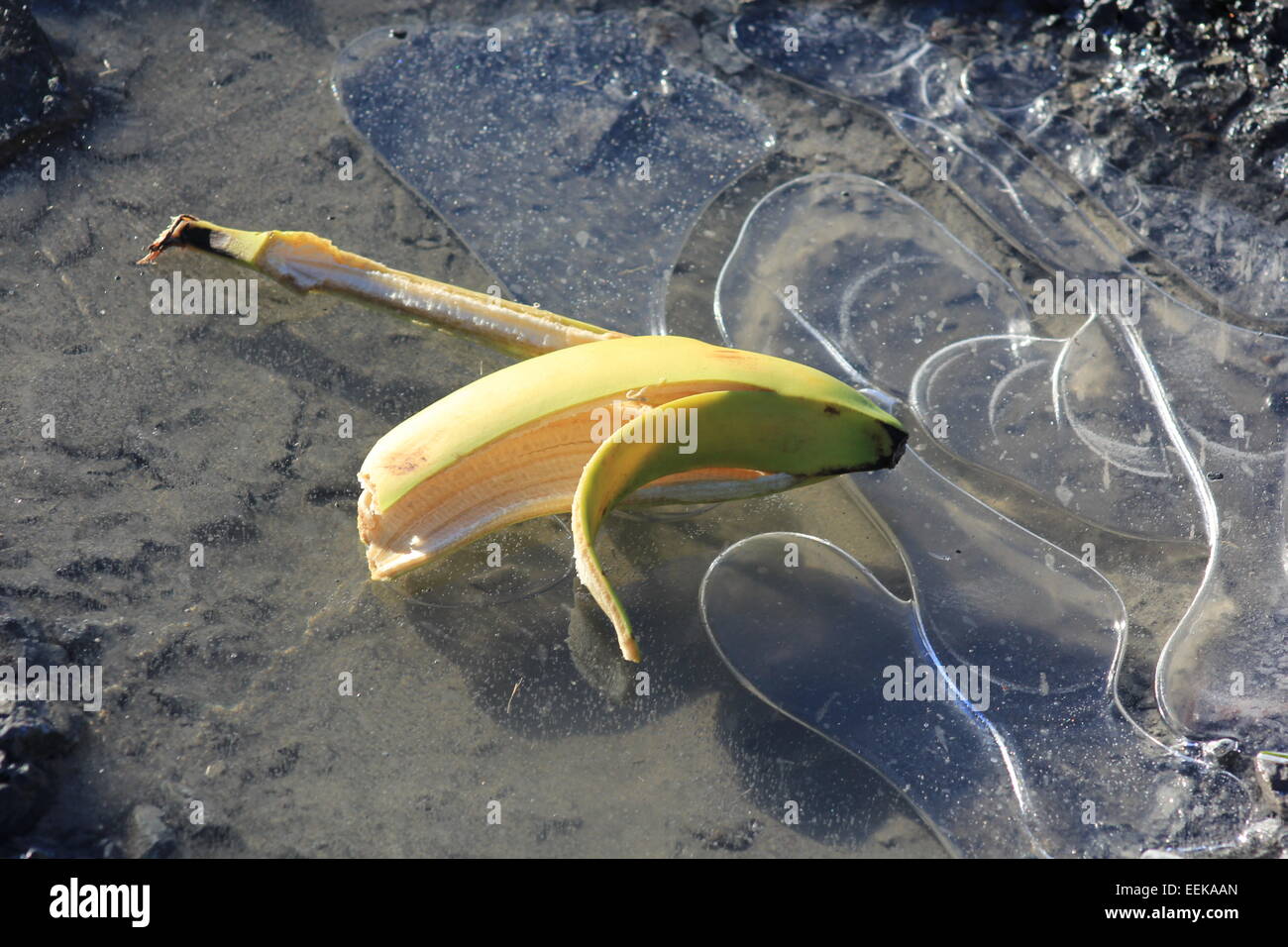 A banana skin on a frozen pothole awaits an unsuspecting victim Stock ...