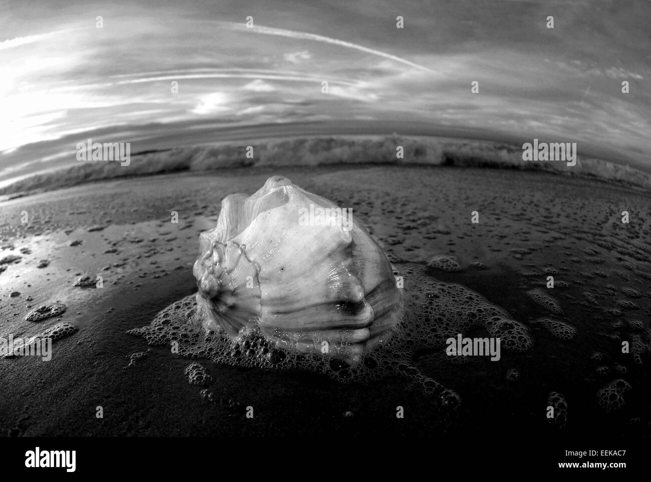 Laying on beach hi-res stock photography and images - Alamy