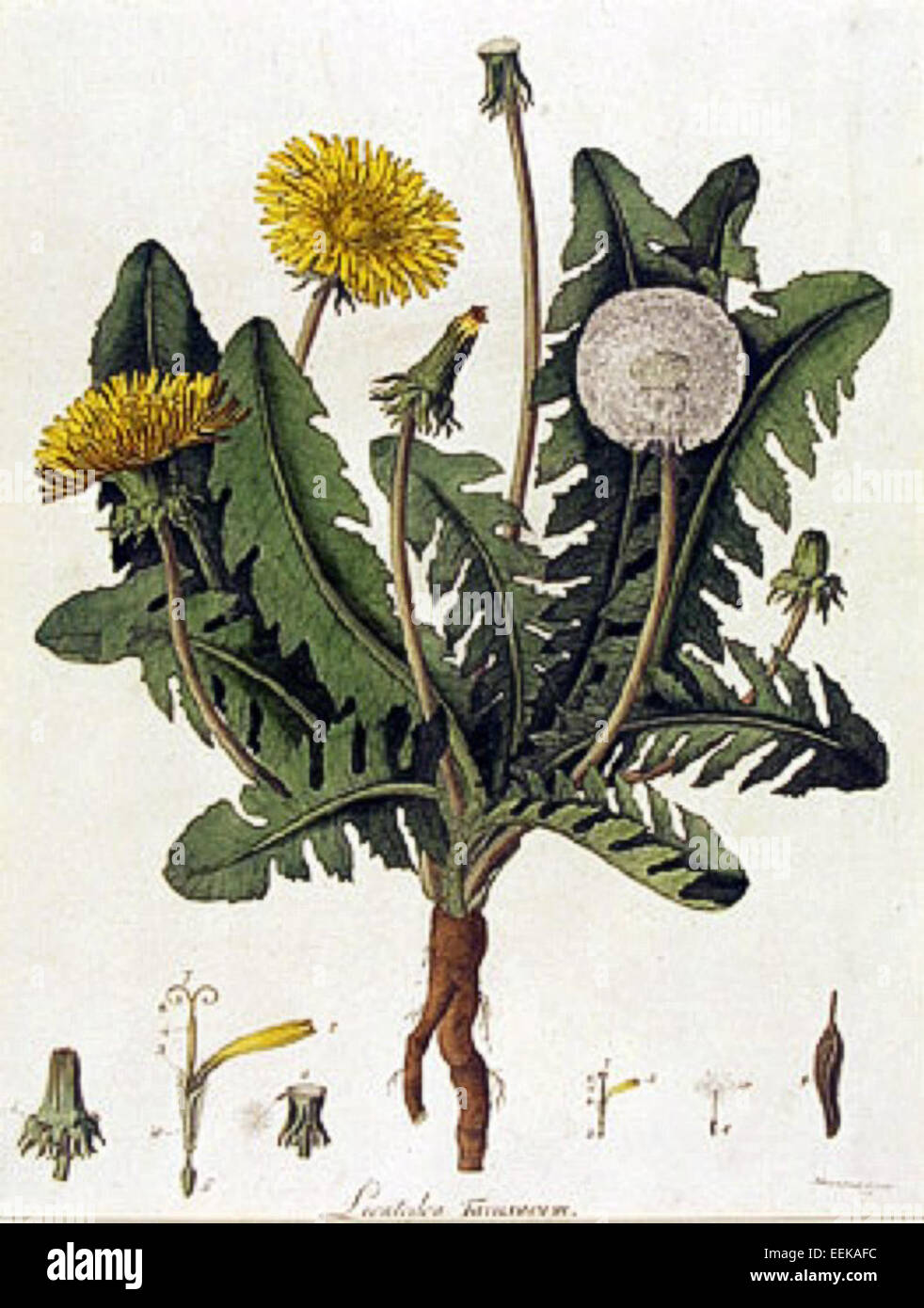 William kilburn hi-res stock photography and images - Alamy