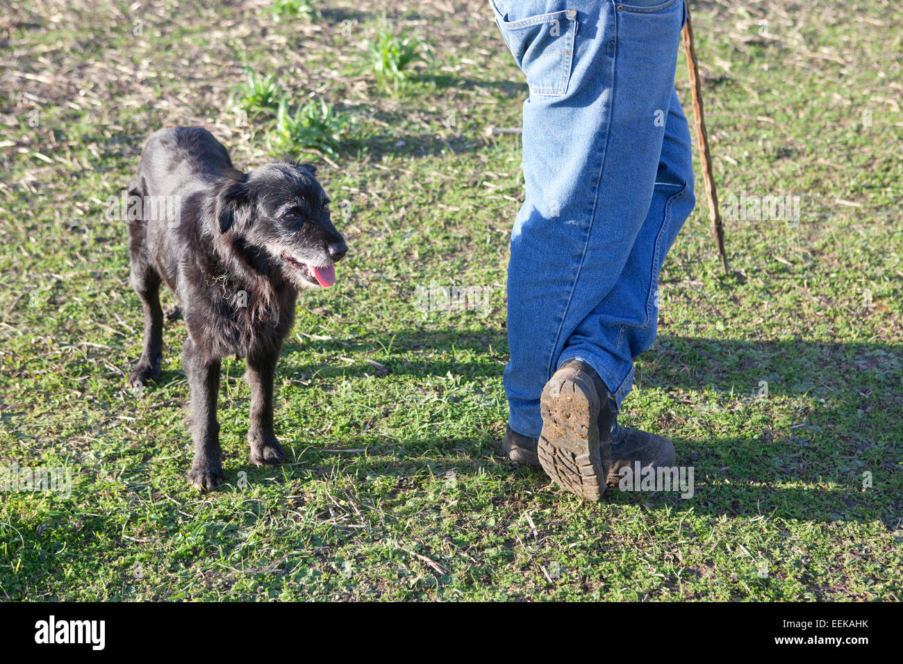 Shepherd spain hi-res stock photography and images - Alamy