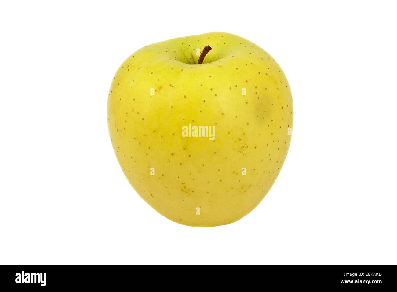 Front view of Yellow Golden apple isolated on white Stock Photo - Alamy