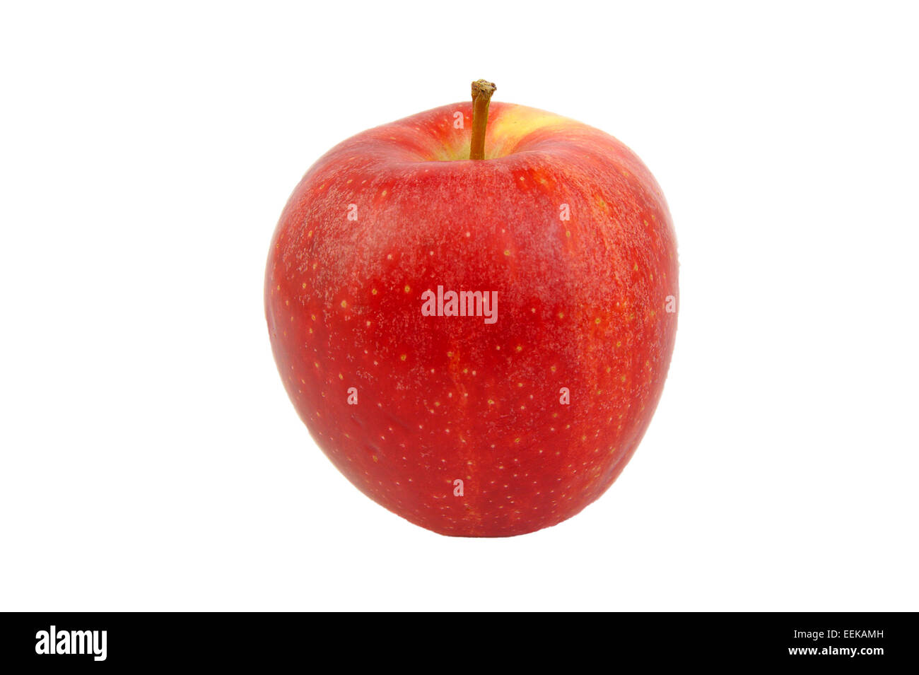 Front view of Red Royal Gala apple isolated on white Stock Photo - Alamy
