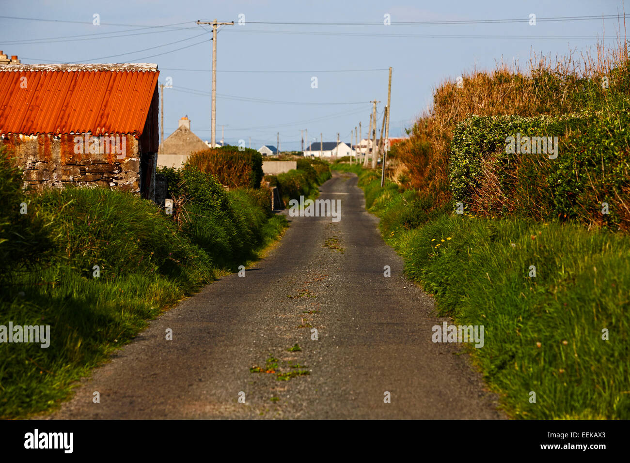 narrow rural single track irish road in rural ireland Stock Photo - Alamy