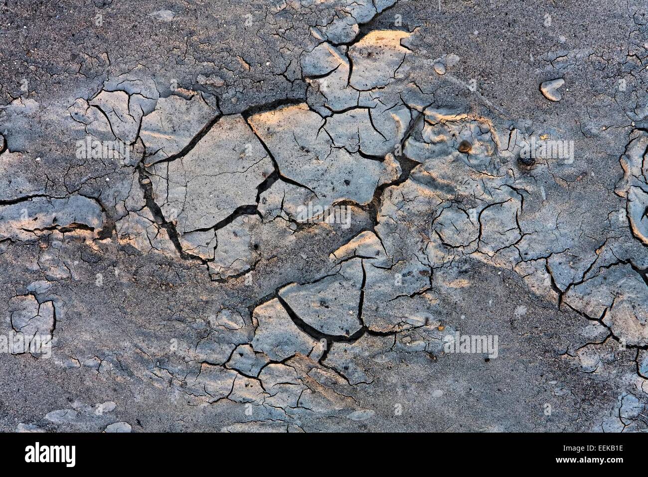 Closeup of some mud texture Stock Photo - Alamy
