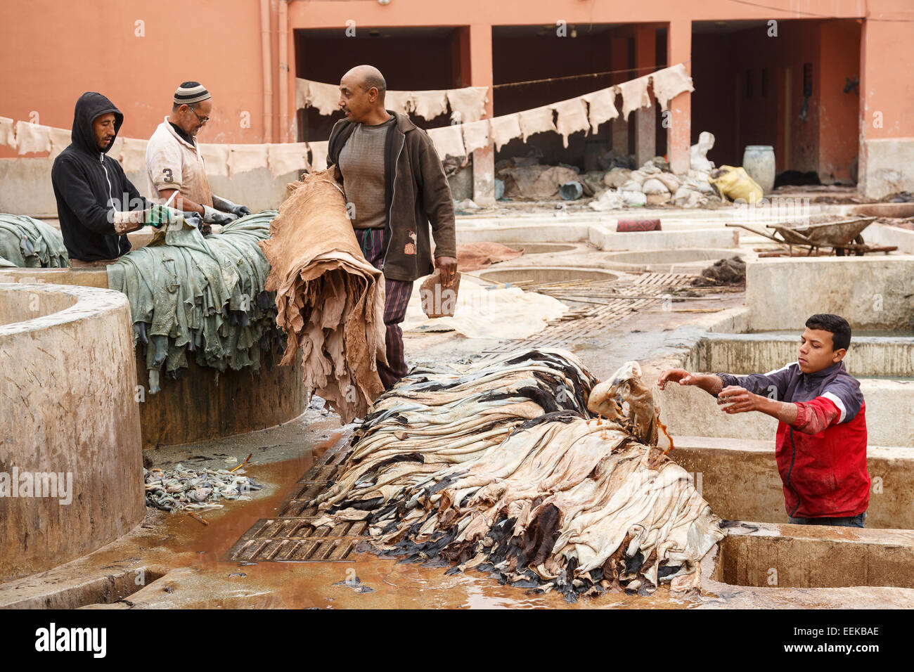 Animales africa hi-res stock photography and images - Alamy