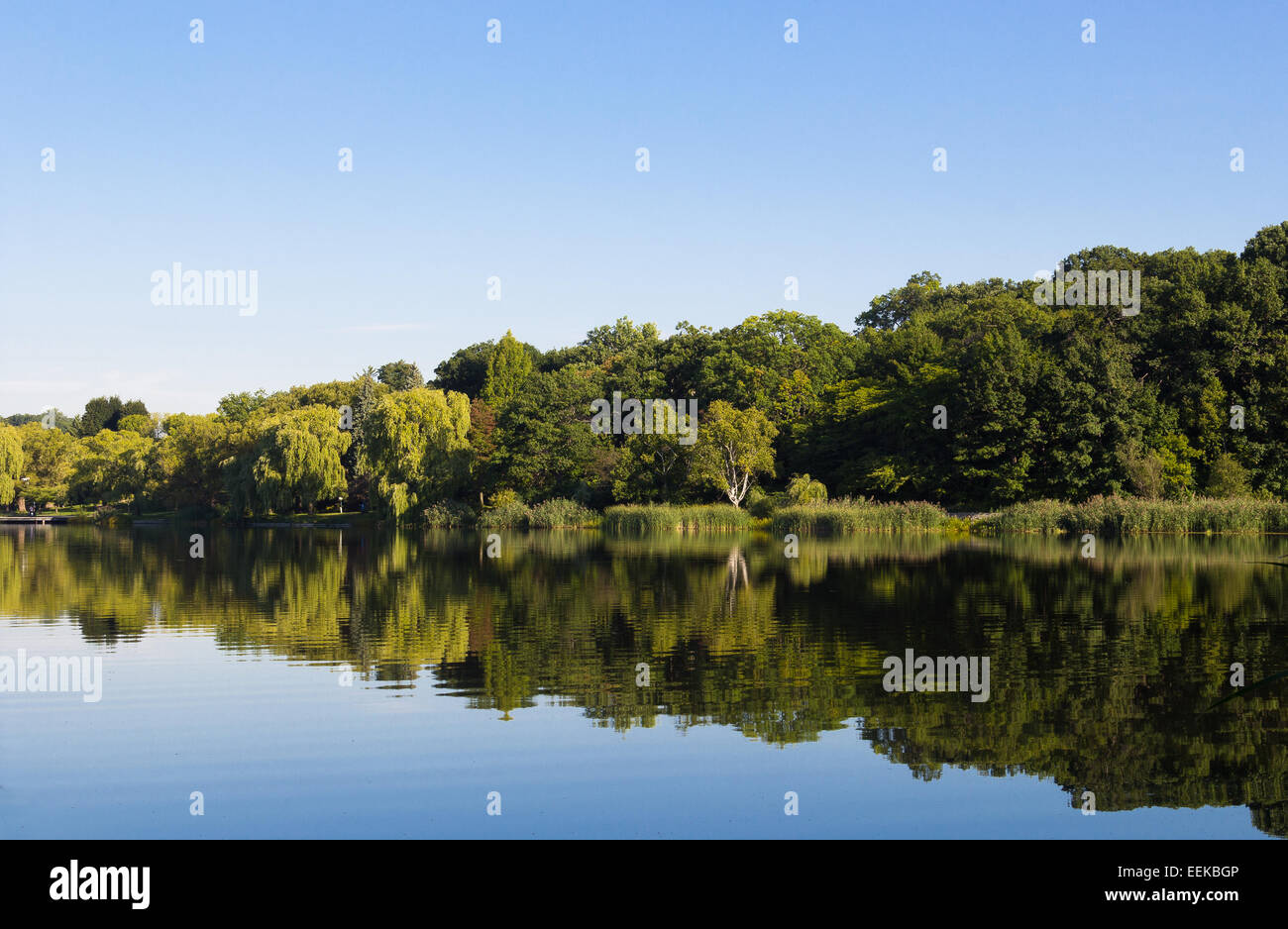 Reflection during the day hi-res stock photography and images - Alamy