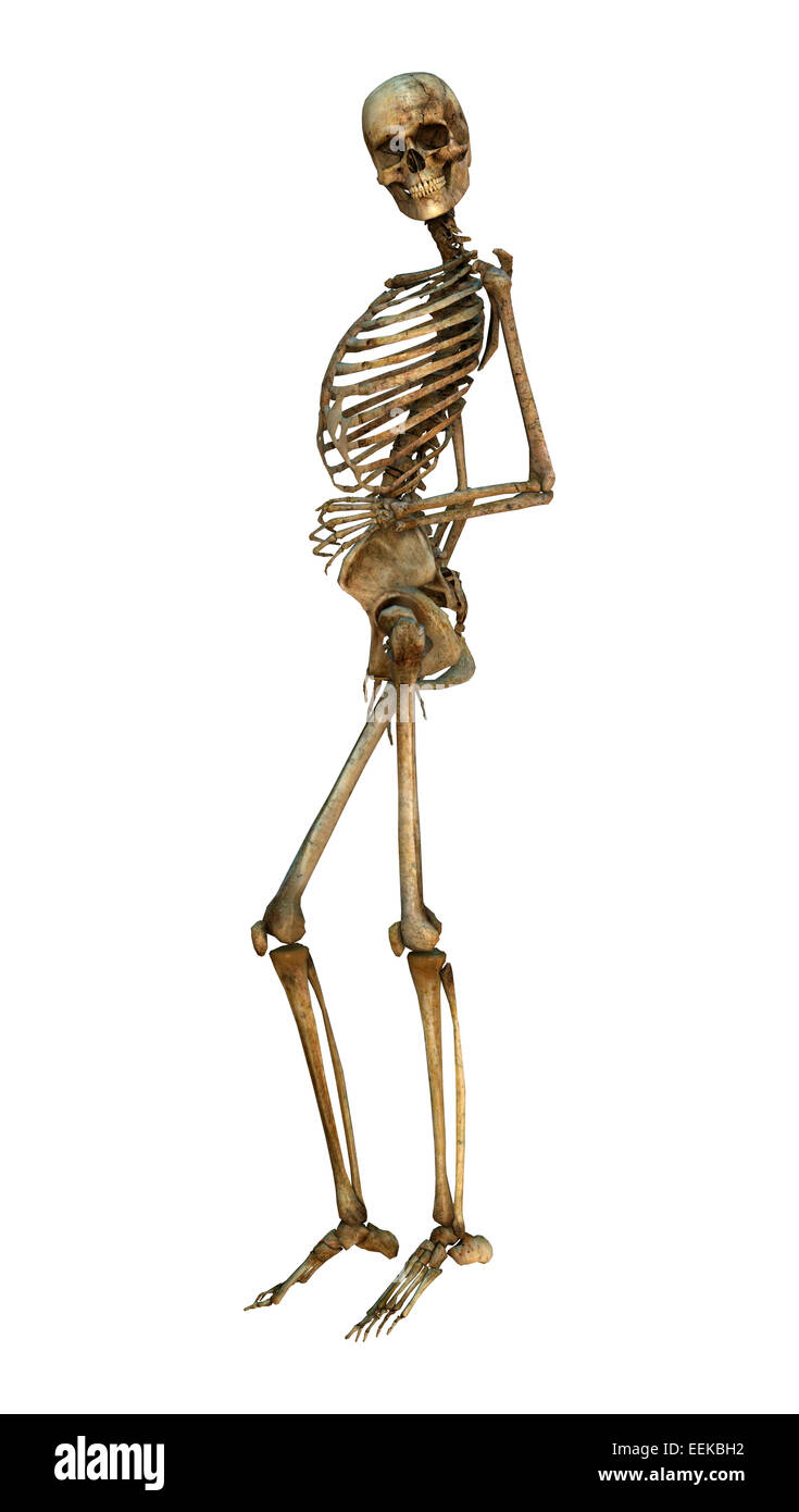 Skull Human Smiling Stock Photos & Skull Human Smiling Stock Images - Alamy