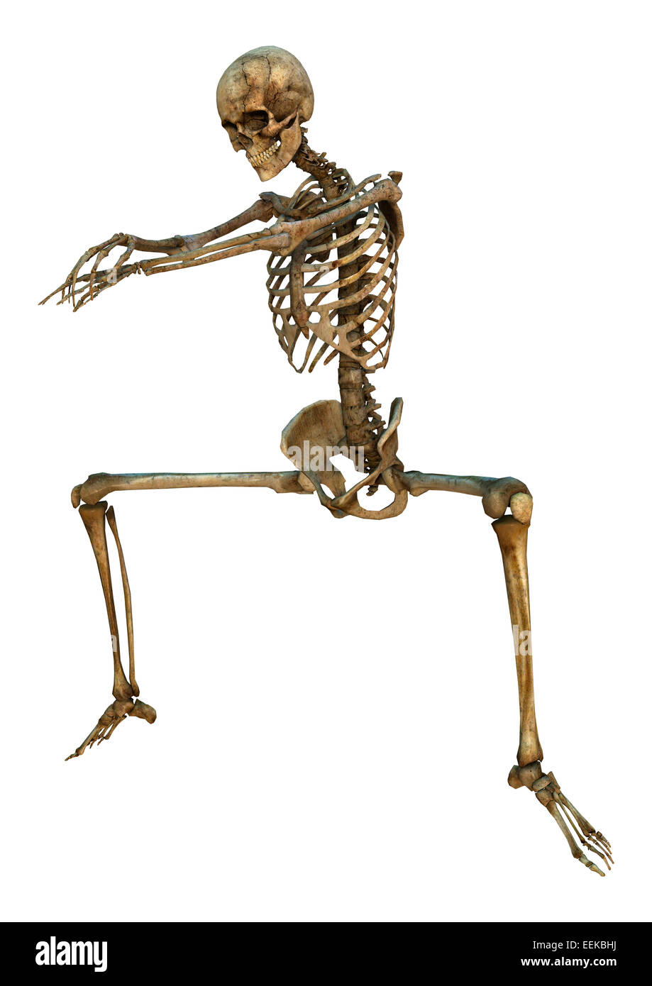 3D digital render of a human dancing skeleton isolated on white ...