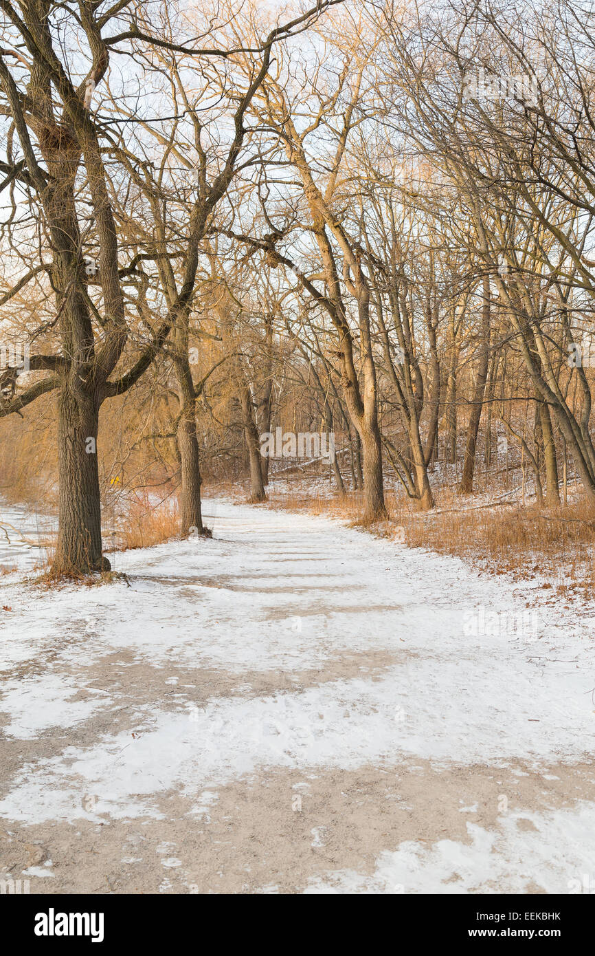 A pedestrian path in the winter with snow on the ground and trees ...