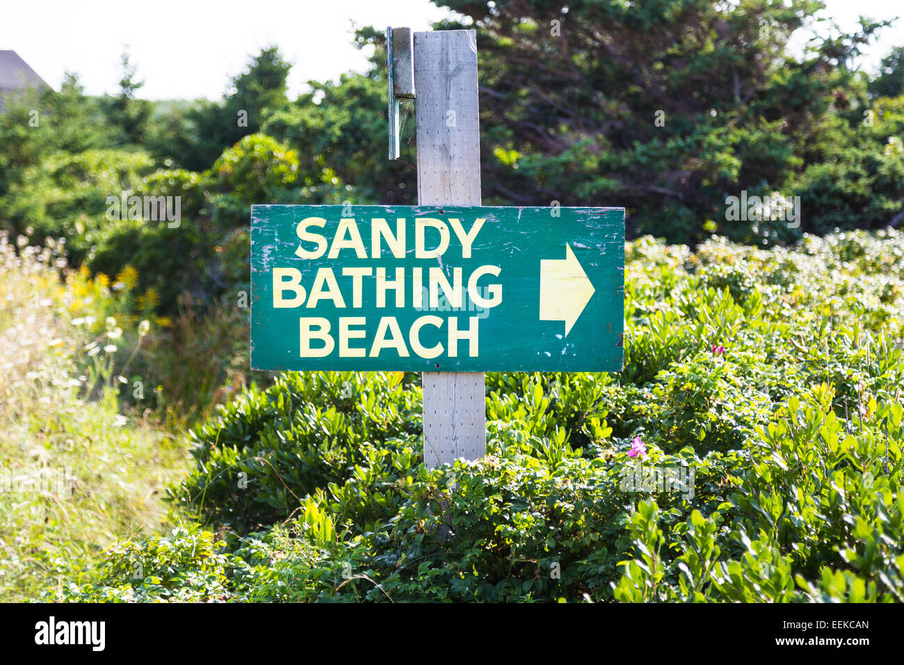 Informing people hi-res stock photography and images - Alamy