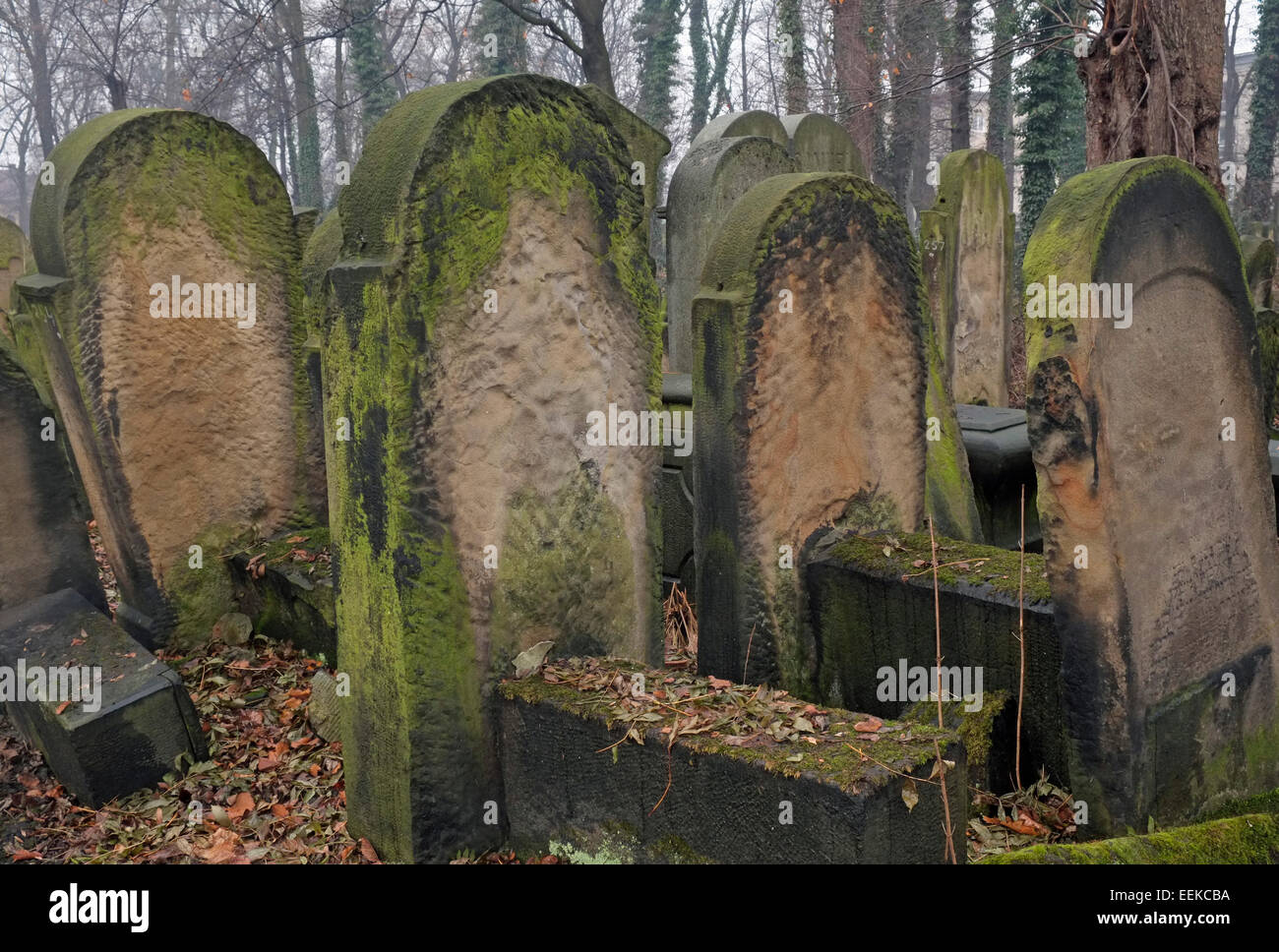 Polish headstones hi-res stock photography and images - Alamy
