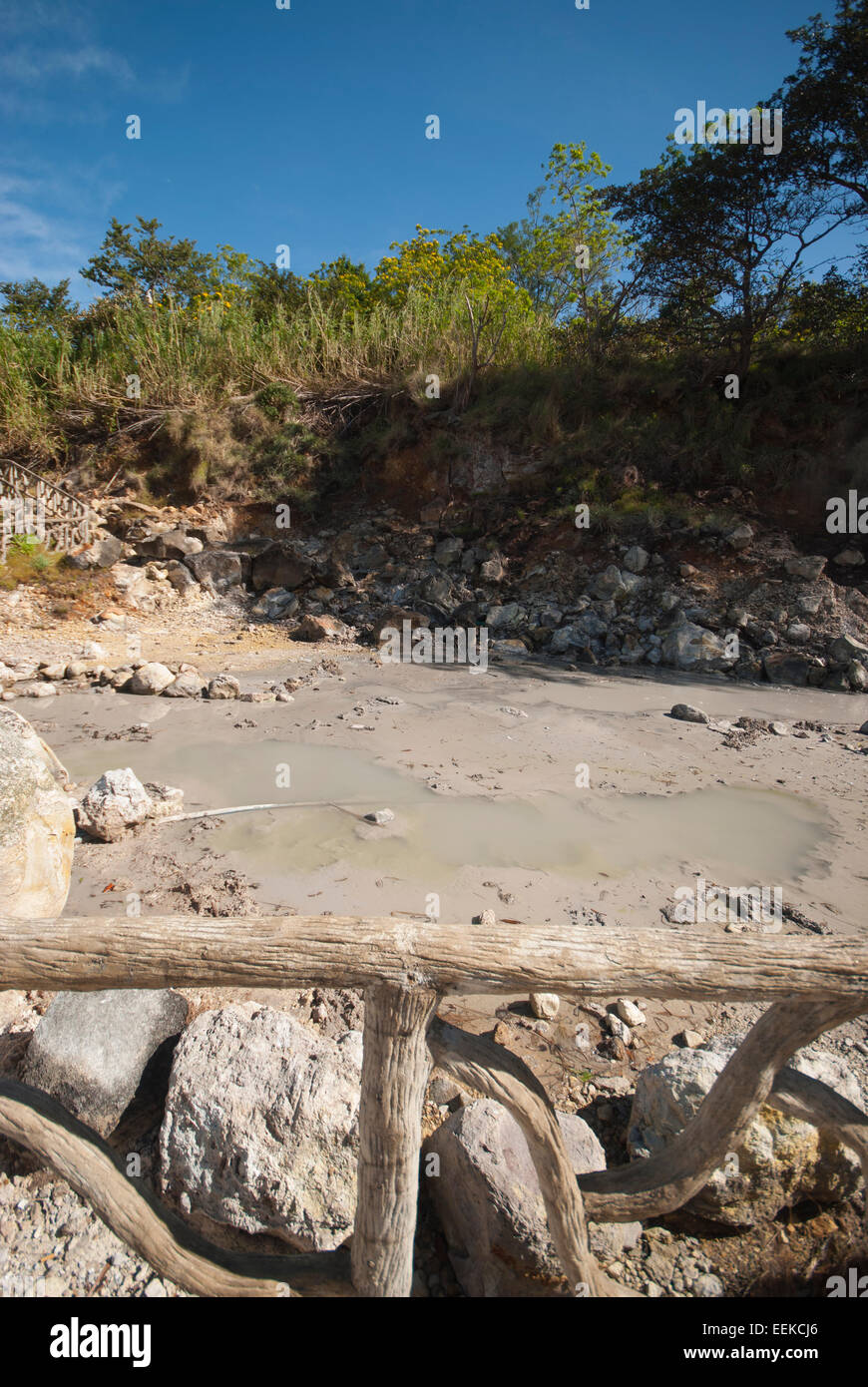 Fence with mud bath and trees Stock Photo - Alamy