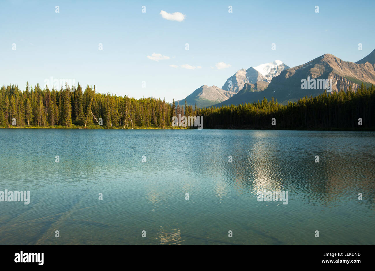 Scenic at Herbert Lake, Banff National Park, Alberta, Canada Stock ...