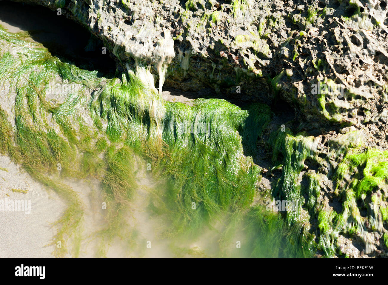 Hard and soft rock hi-res stock photography and images - Alamy