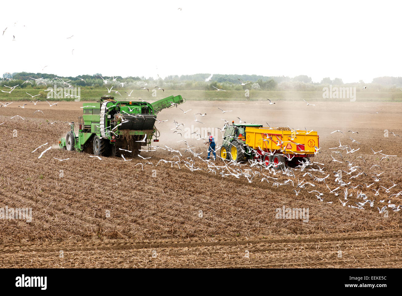 Potato harvester hi-res stock photography and images - Alamy