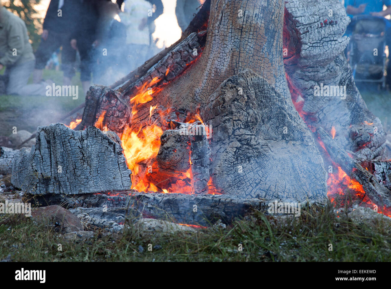 Campfire and heat - massive tree trunks burning at high temperatures ...