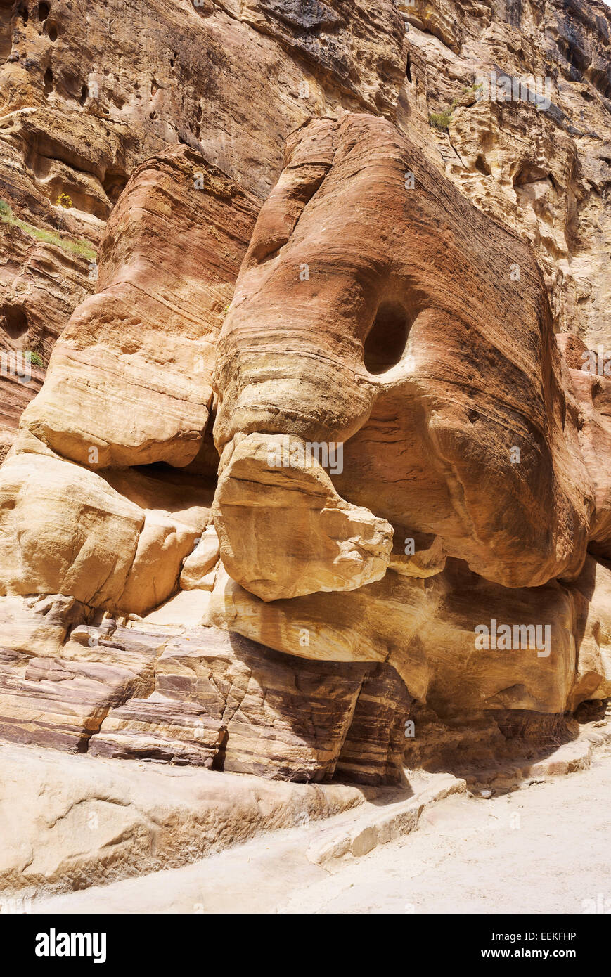 Elephant or Fish Rock along the Siq on the way to Petra Stock Photo - Alamy