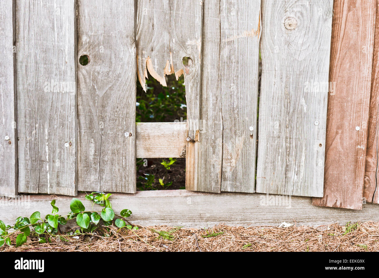 Broken damaged wooden fence panels hi-res stock photography and images ...