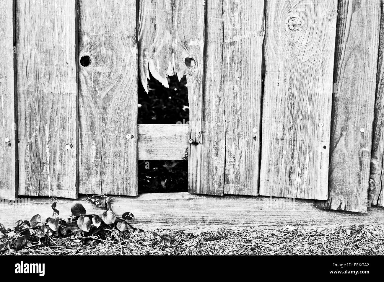 Part of a fence with a broken panel Stock Photo - Alamy