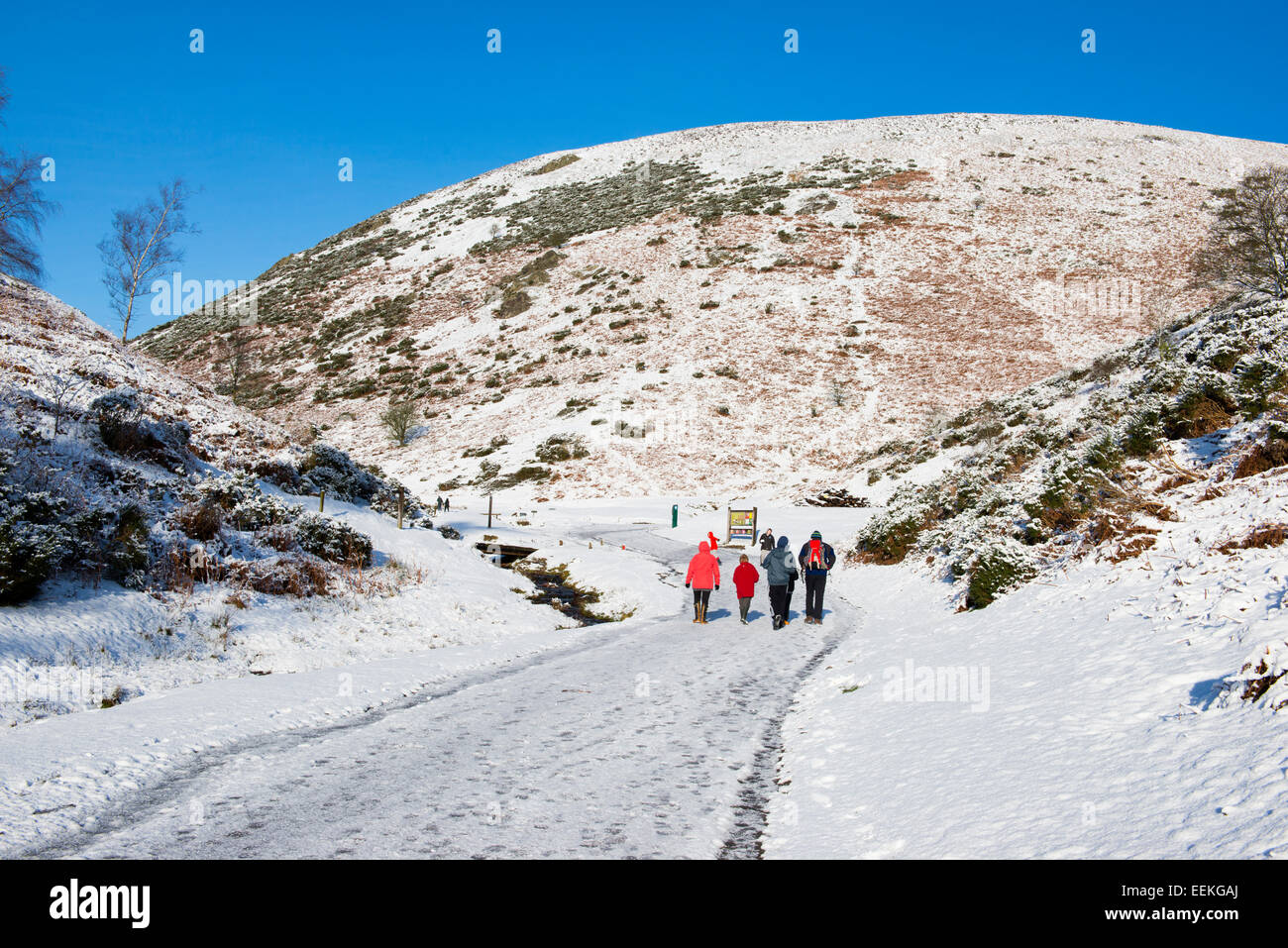 A group of people walking in Carding Mill Valley, Church Stretton ...