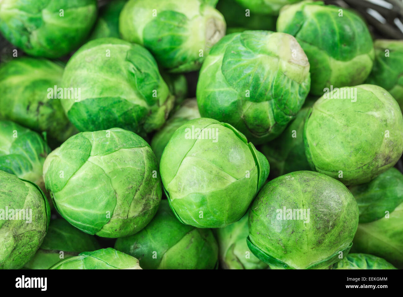 Sprouts in basket Stock Photo - Alamy