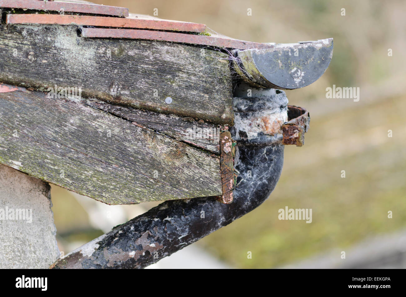 Rusty gutter and downspout on a roof with eaves in need or repair Stock ...