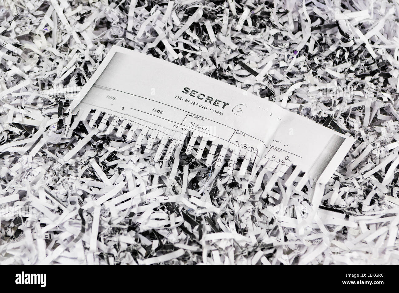 Half shredded "Secret" classified police de-brief document Stock Photo ...