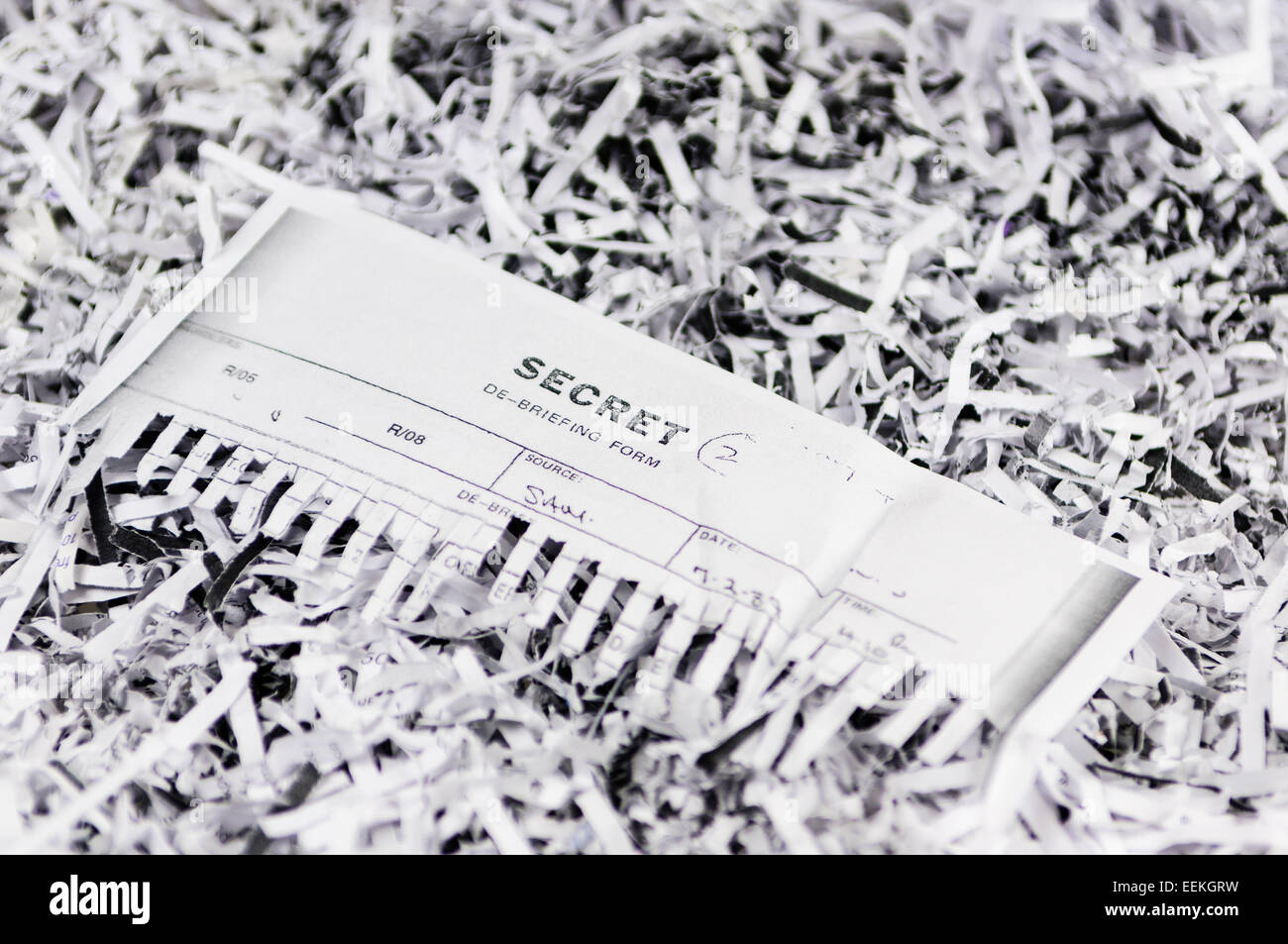 Half shredded "Secret" classified police de-brief document Stock Photo ...