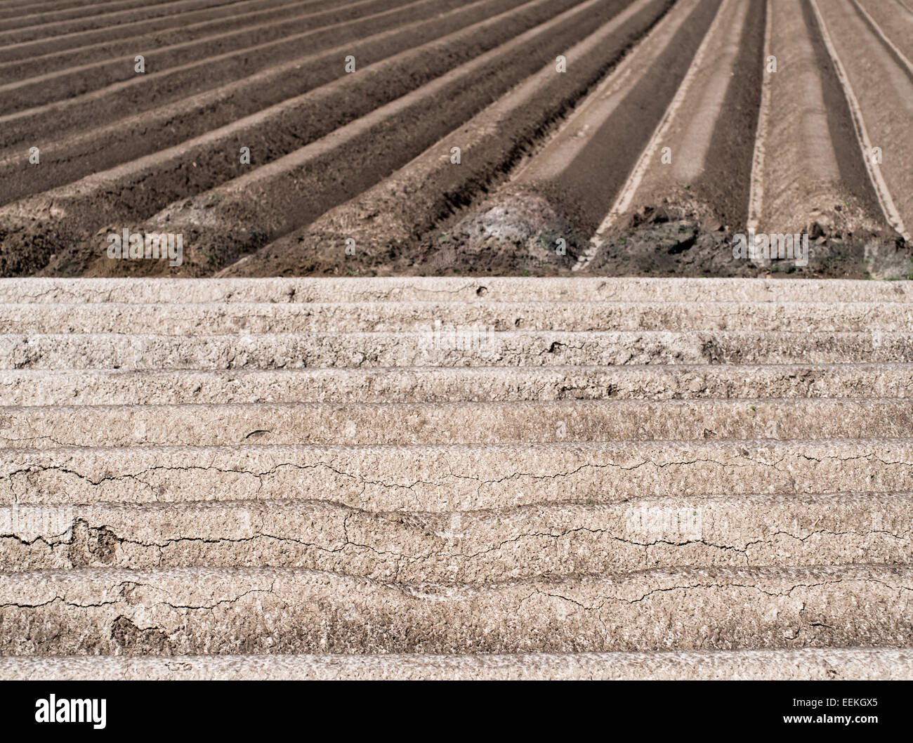 Structures of a potato field Stock Photo - Alamy